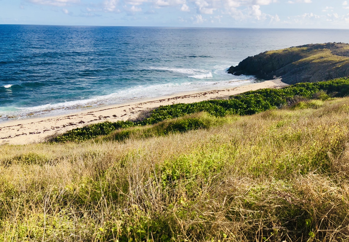 Your Ultimate Guide to St. Croix – The Detailed Local