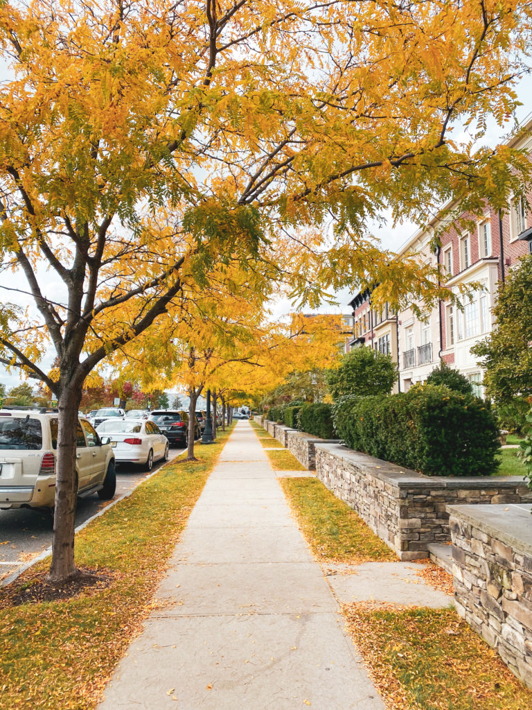 Sleepy Hollow and Tarrytown Fall Day Trip - The Detailed Local