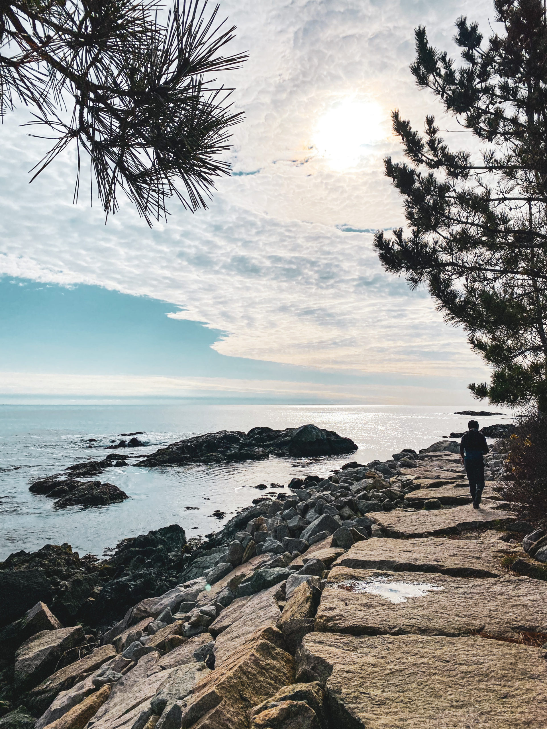 8 Things to Know: Rhode Island Cliff Walk – The Detailed Local