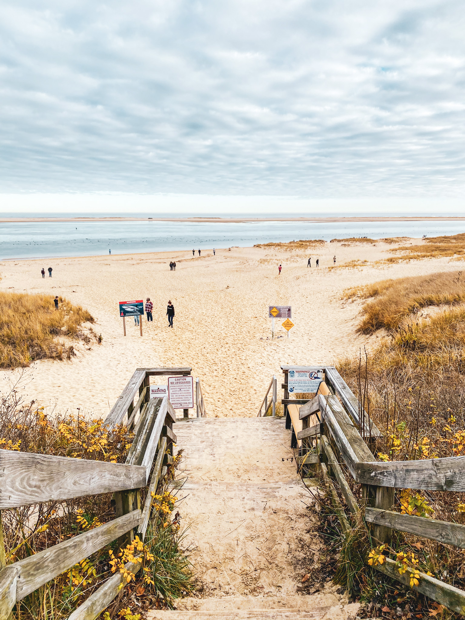 Cape Cod in the Off Season - The Detailed Local